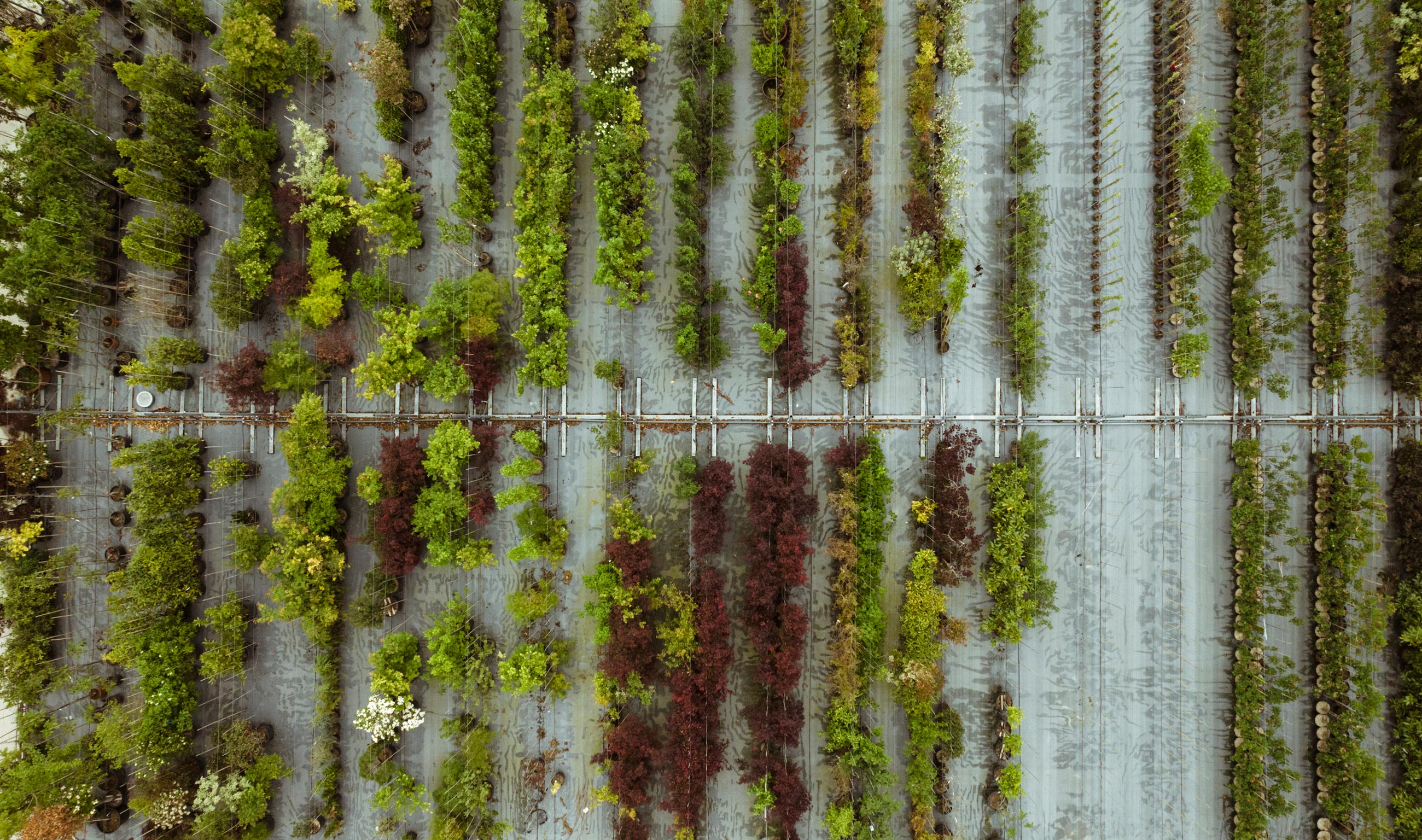 Gartenarchitektur | Kramer und Kramer